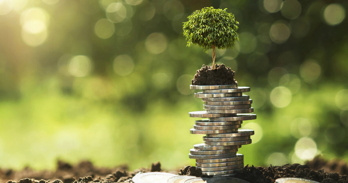 How to navigate the sustainable investment landscape? - Blog - Cundall