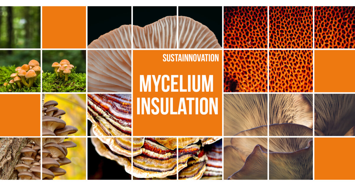Sustainnovation - Mycelium insulation - Blog - Cundall