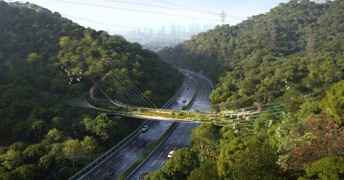 Shenzhen Meilin Mountain-Yinhu Mountain Ecological Recreation Bridge ...