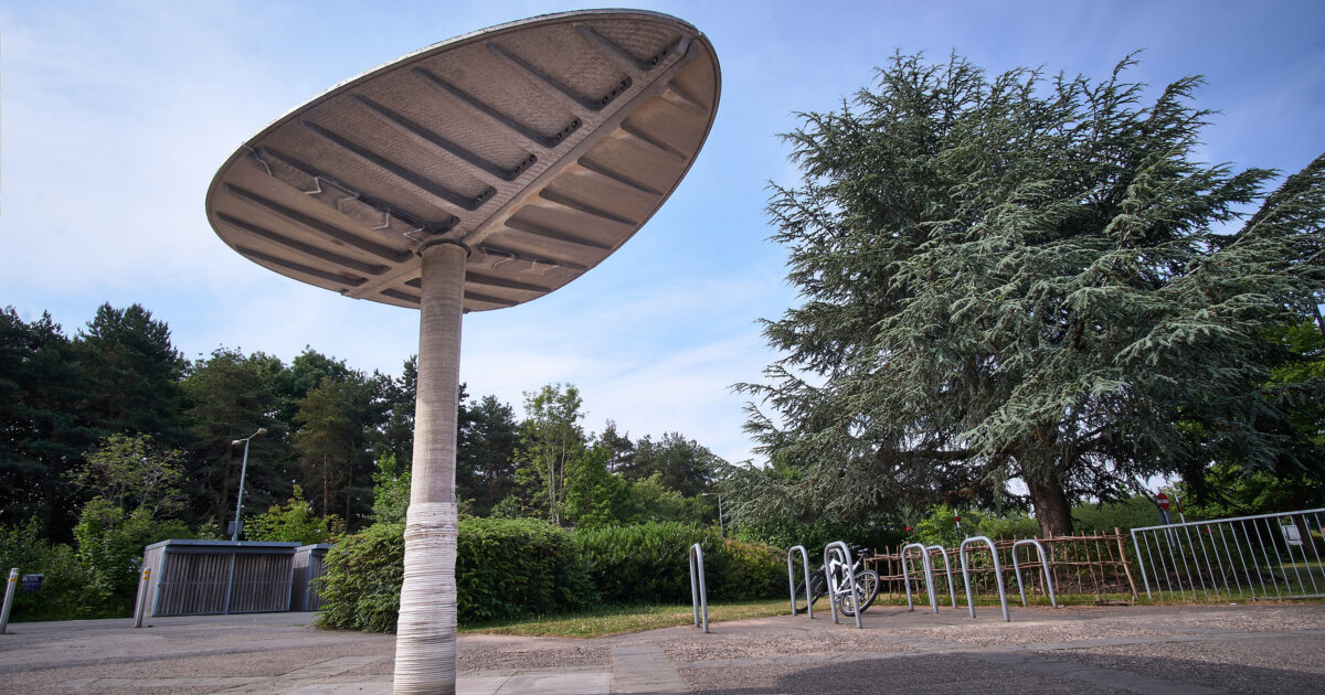 The h-3DCP Canopy - Projects - Cundall