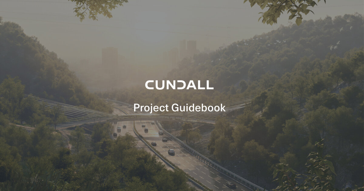 Cundall Project Guidebook - Publications - Cundall